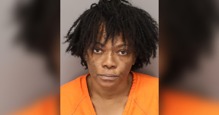 Officials: Florida woman allegedly threatened man with sword over ...
