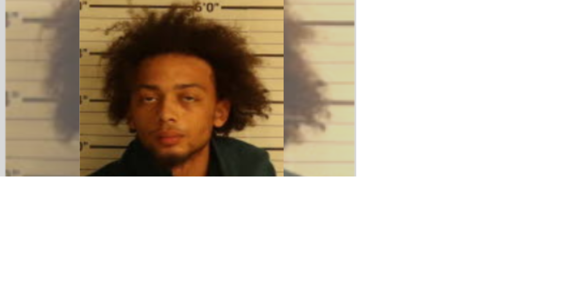 Man arrested after he carjacks woman, leads police on chase, records ...