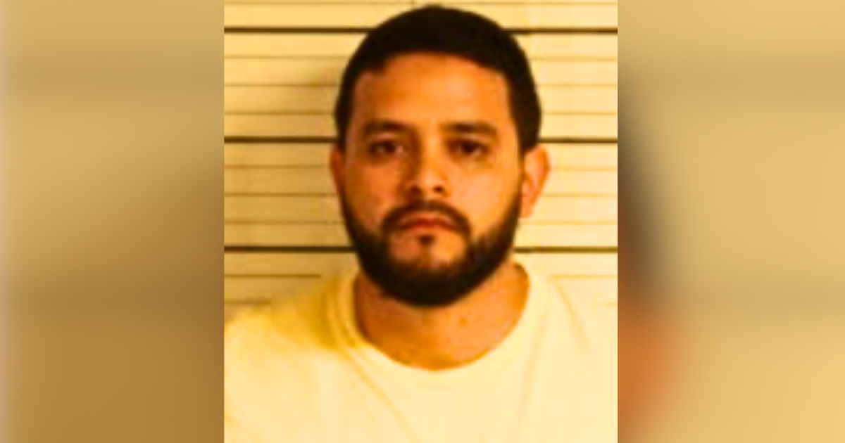 Police Driver Arrested After Fatally Striking Pedestrian News