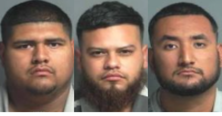 Officials: 3 men arrested for alleged cockfighting in Texas; 17 ...