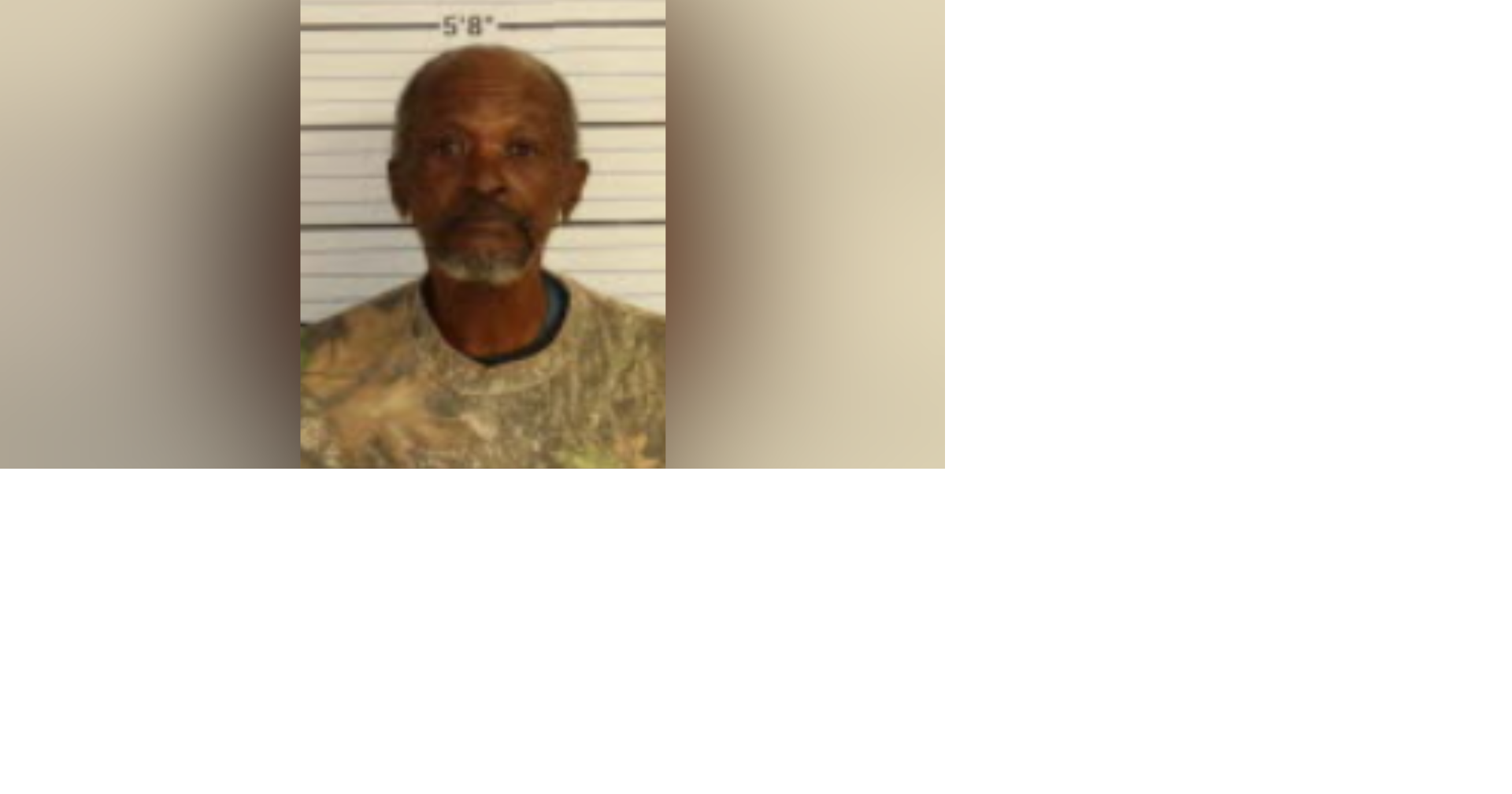 Memphis man arrested for neglecting nearly 30 dogs | News ...