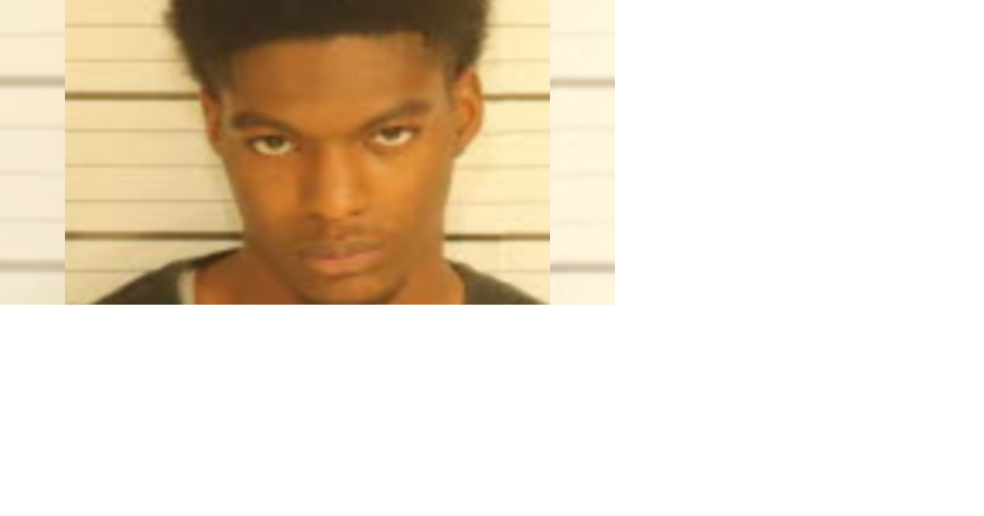 Man allegedly robbed Whitehaven clothing store, vandalized Domino’s ...