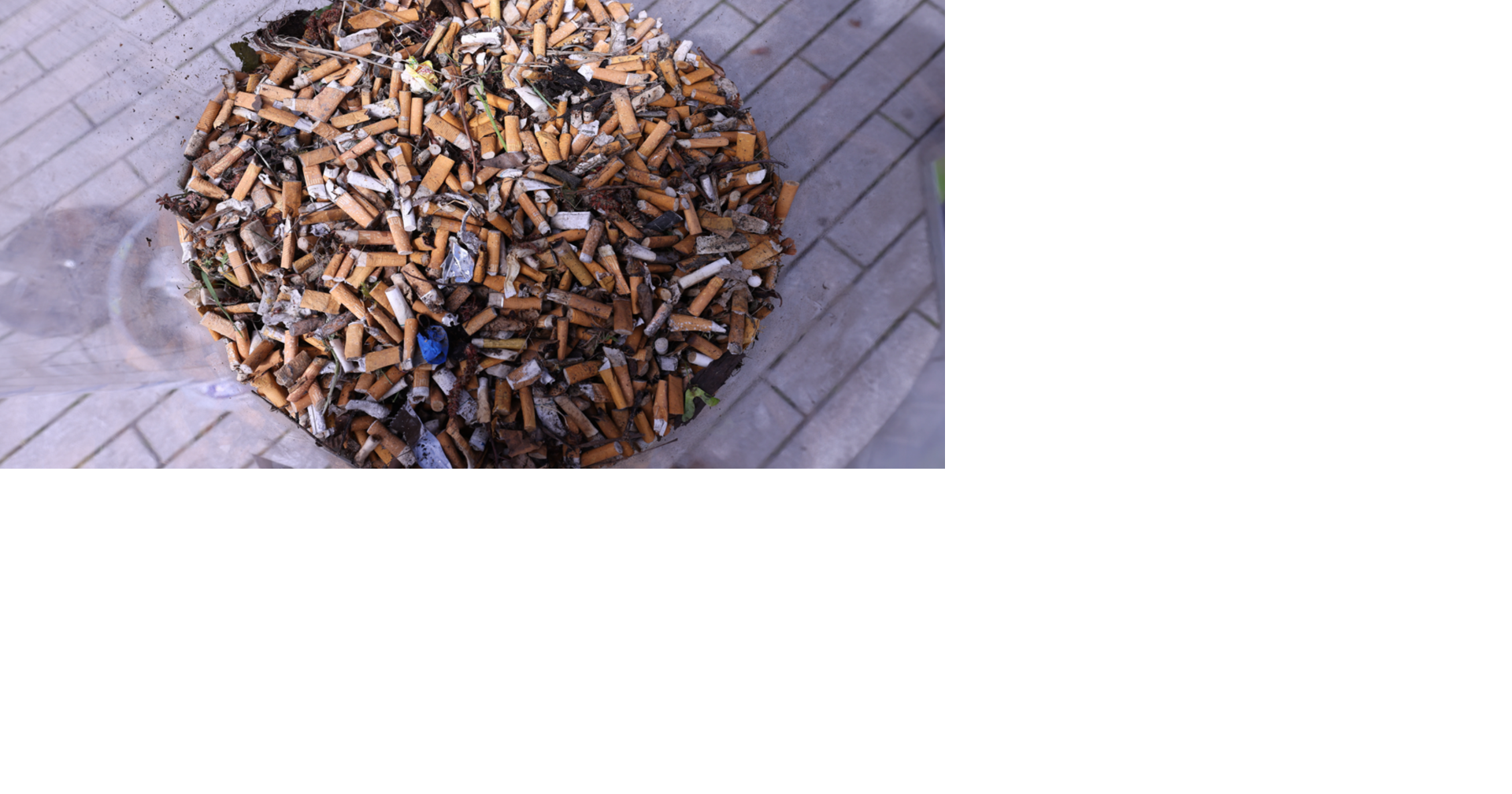 In Canada, each cigarette will get a warning label: 'poison in every ...