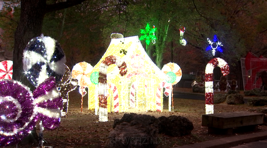 PHOTOS: Sneak preview of Memphis Zoo Lights | | fox13memphis.com