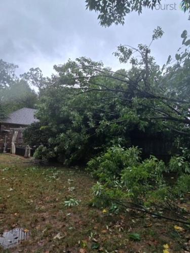 PHOTOS: Remnants of Hurricane Francine leave storm damage across Mid ...