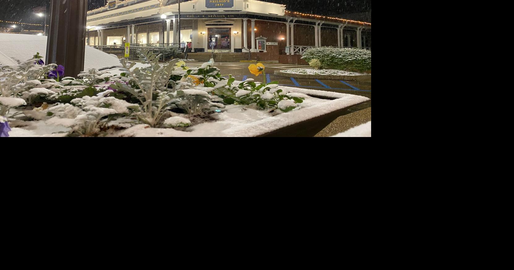 PHOTOS: Winter Wonderland across the Mid-South | | fox13memphis.com