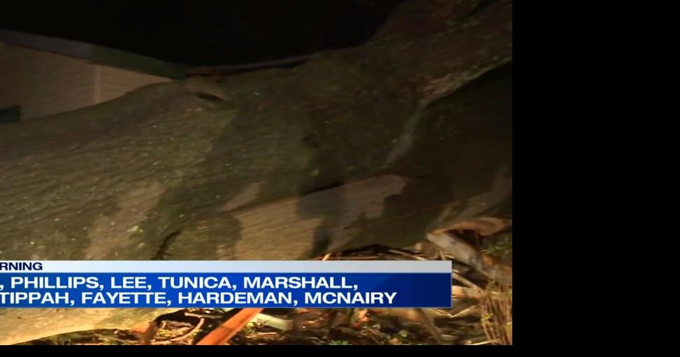 WATCH: Tree falls on house in Wynne, Ark after severe storms ...