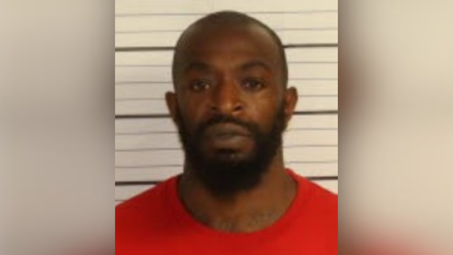 Man arrested in fatal hit-and-run crash in Whitehaven, records show ...