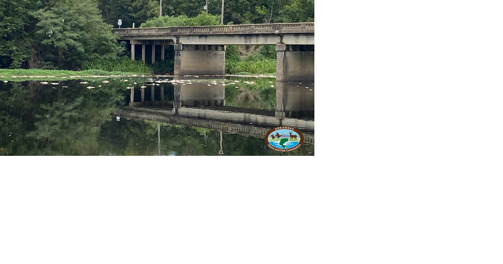 Hurricane Francine lead to dead fish in Arkansas, | News | fox13memphis.com