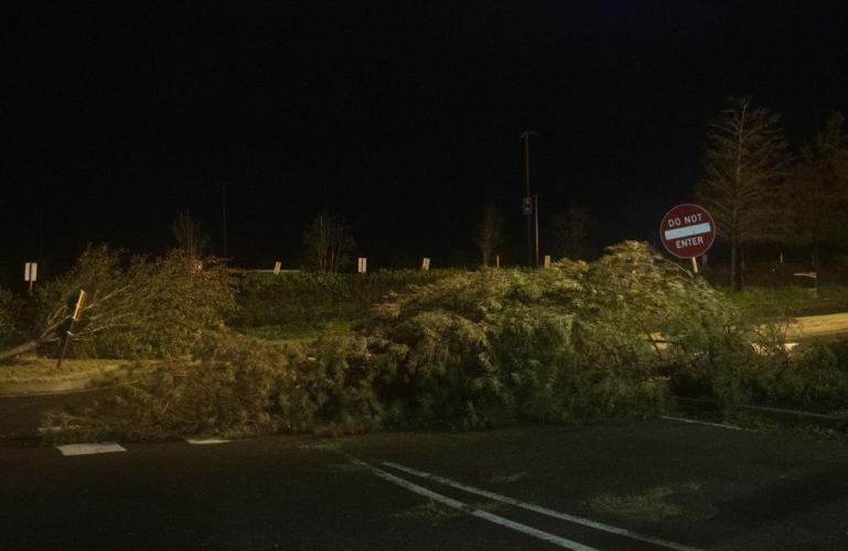 Photos: Hurricane Laura - Landfall and Aftermath | | fox13memphis.com