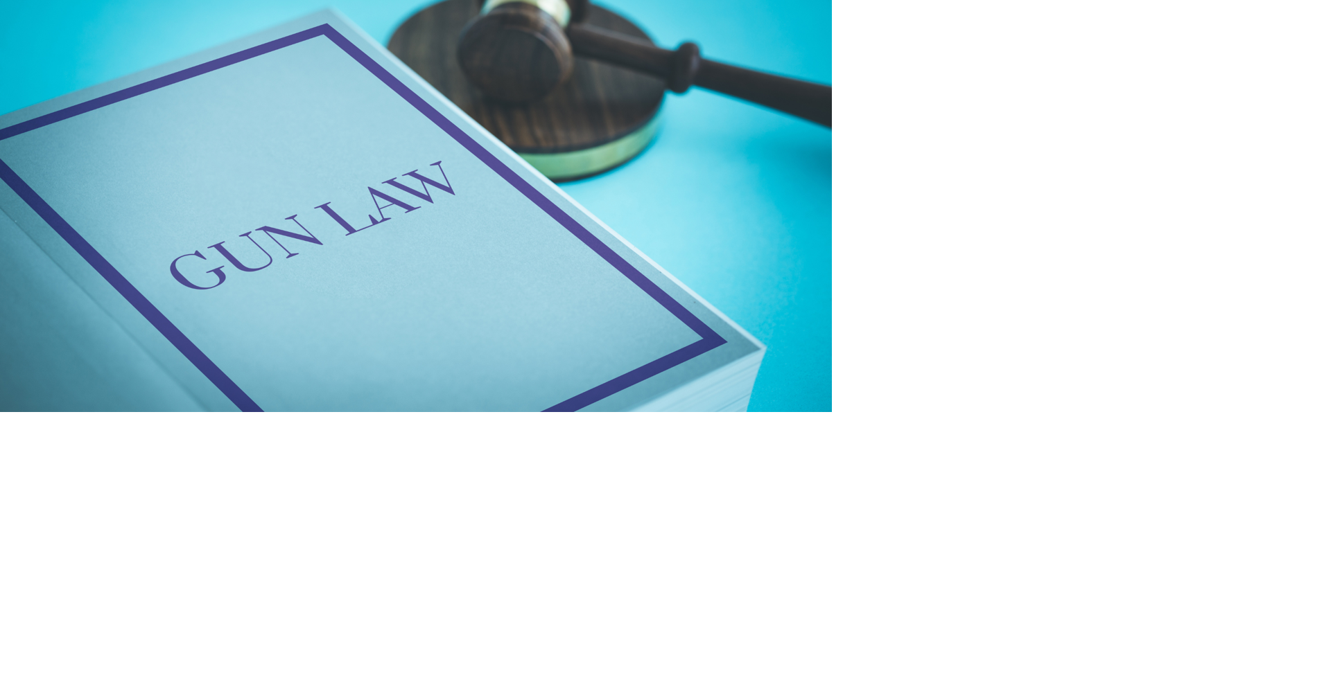 Tennessee appeals ruling against 2 gun laws, saying it caused ...