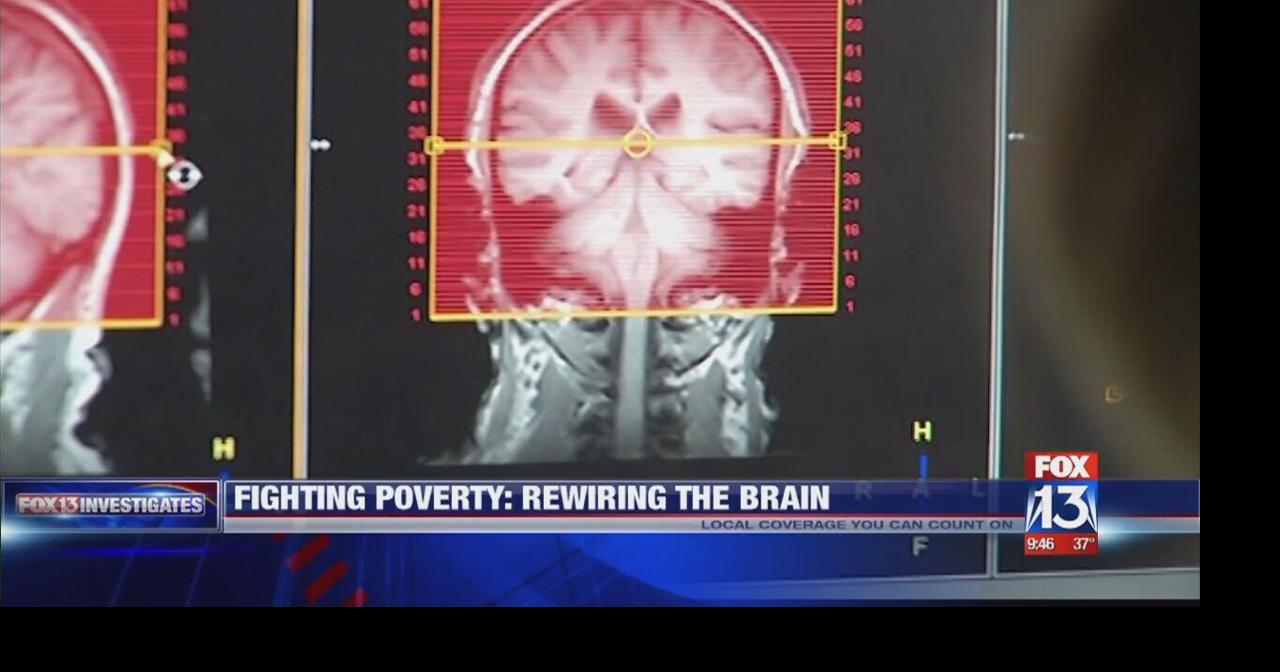Breaking the cycle of poverty: How the brain can impact the less ...