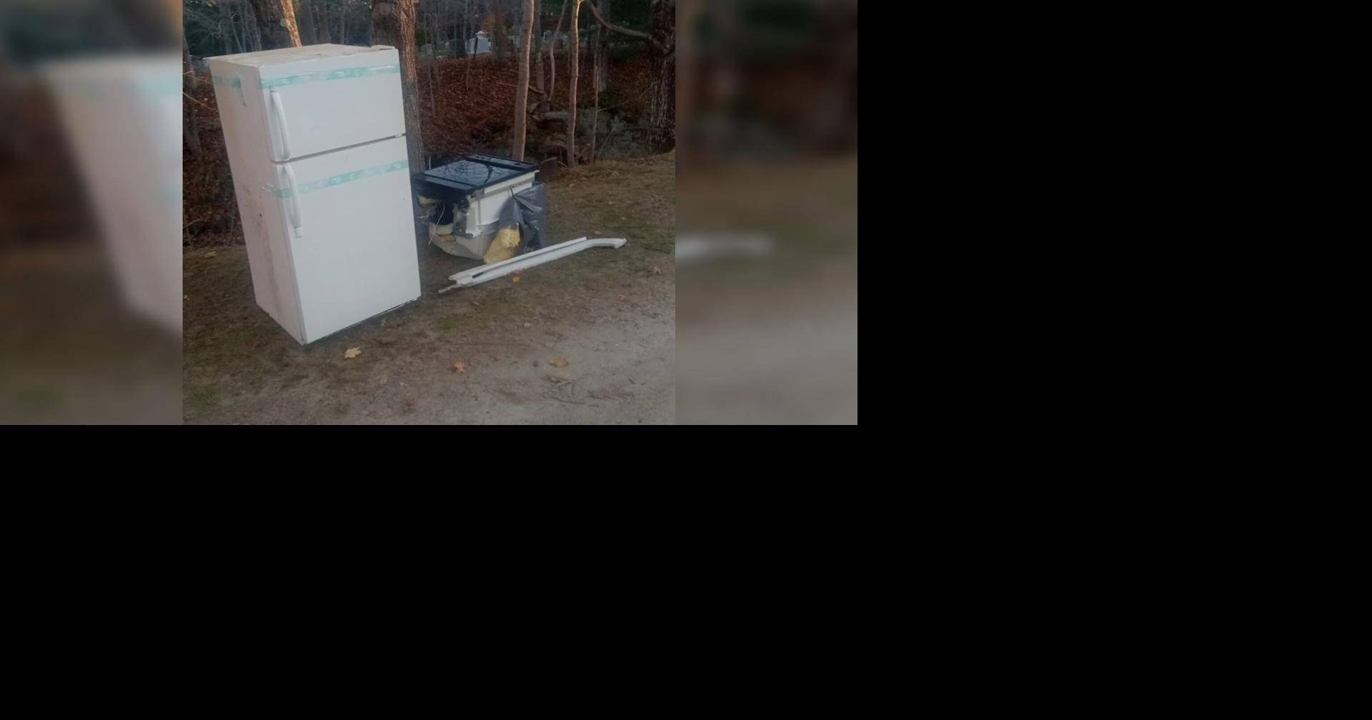 ‘Despicable act’: Refrigerator, dishwasher dumped in cemetery ...