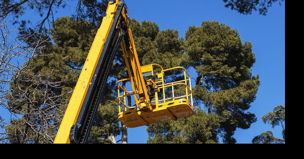 Crane vehicle for Louisiana tree service tips, smashes into Shreveport ...