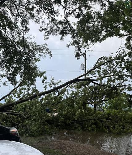 PHOTOS: Heavy rain, storms knock down trees, cause flooding across the ...