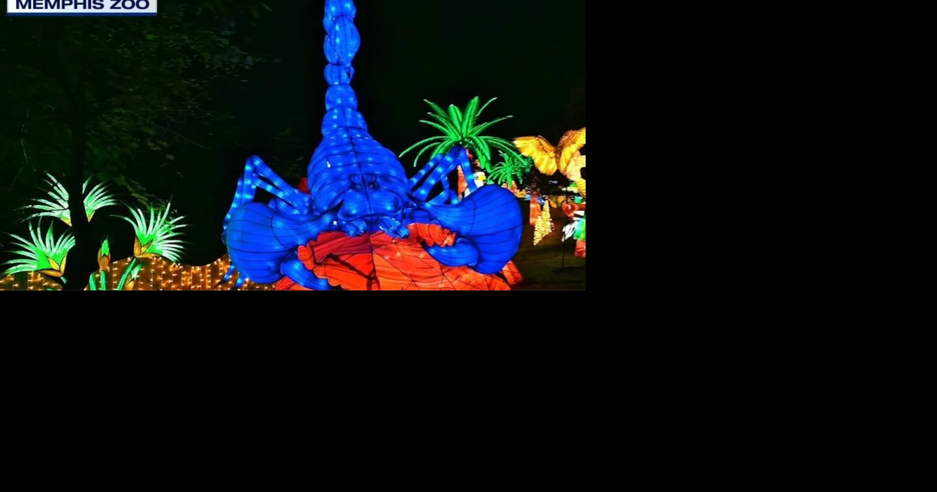 Memphis Zoo debuts first-ever Lantern Festival this weekend | News ...