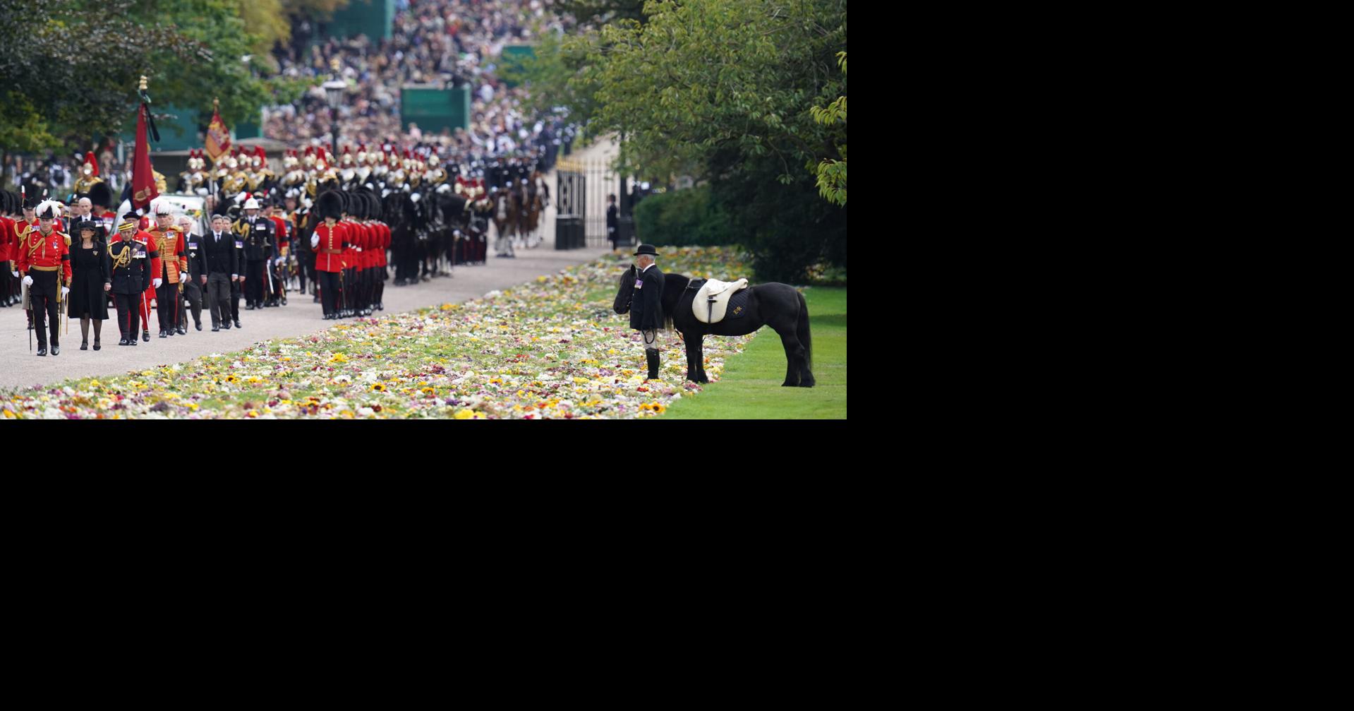 New photo of Queen Elizabeth II...s pony, Emma, released | Trending ...