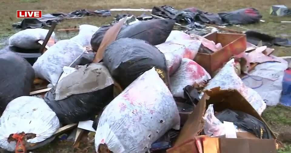 Disturbing video shows men throwing trash outside Memphis dance studio ...