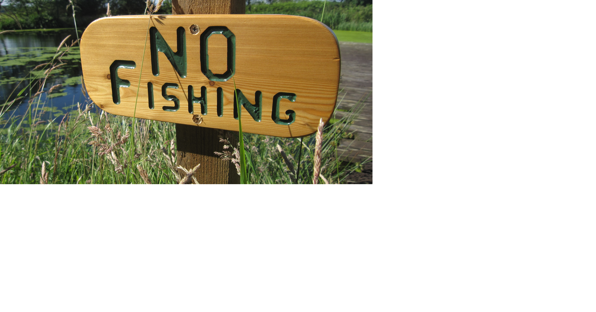 Teens fish human leg out of Mississippi pond | News | fox13memphis.com
