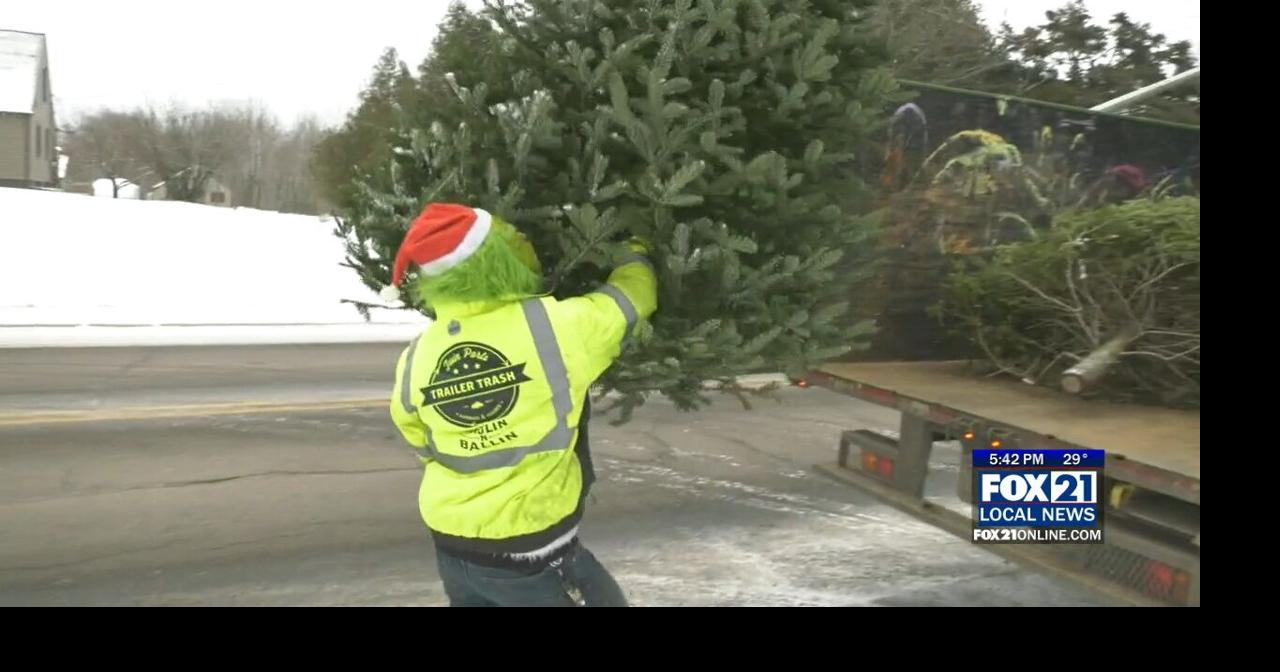 Twin Ports Trailer Trash gearing up for Christmas tree pickup | News ...