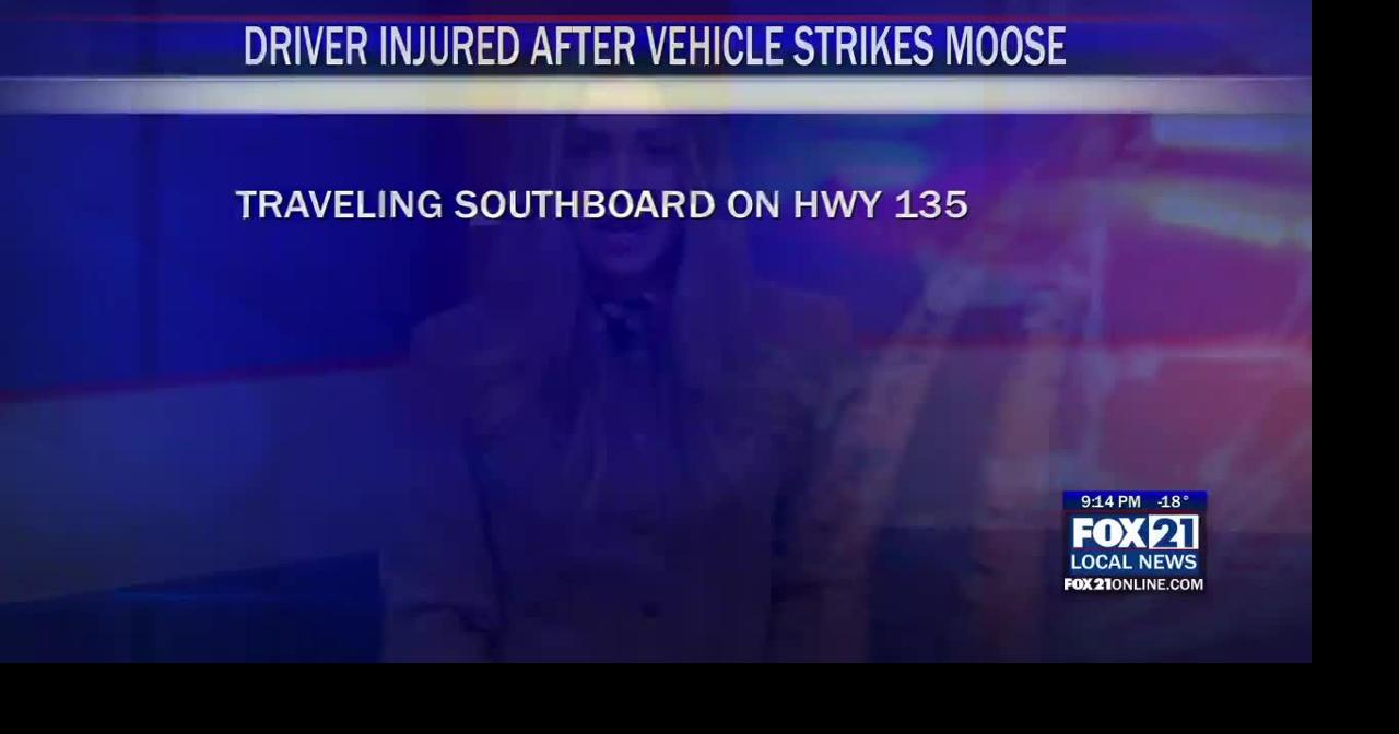 Driver injured after vehicle strikes moose on Highway 135 | Homepage ...