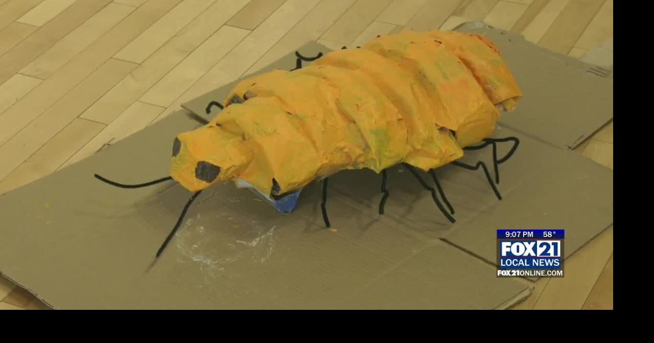 Prøve collective hosts 'Bug Ball' fundraiser to keep their gallery open ...