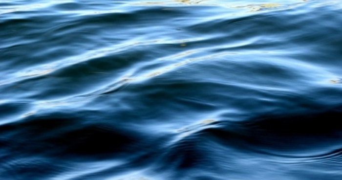 Invasive Weed Starry Stonewort Confirmed in Leech Lake | Homepage ...