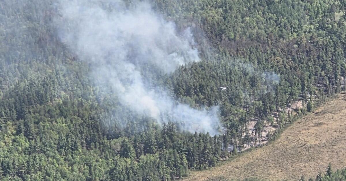Forest Service says Birch Bay Fire near Ely started by 'chainsaw ...