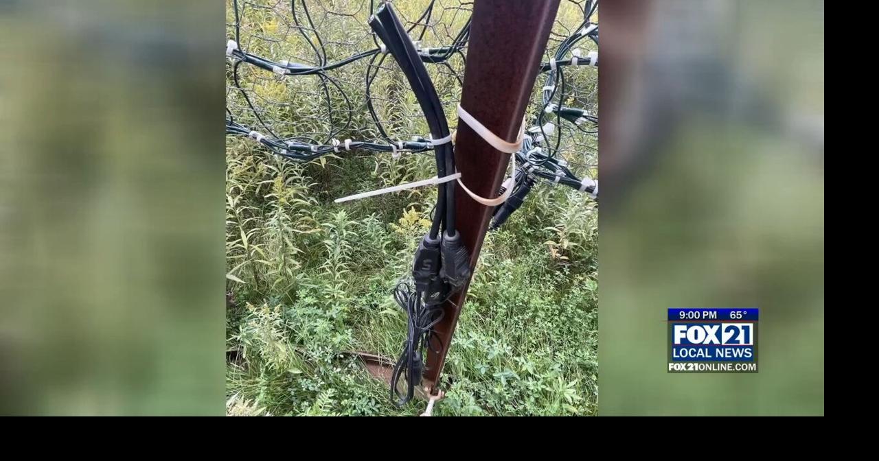 Bentleyville’s 128-Foot Iconic Tree Struck By Vandals | News ...
