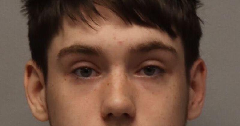 Adult foster care employee, 19, charged in drunken high-speed crash ...
