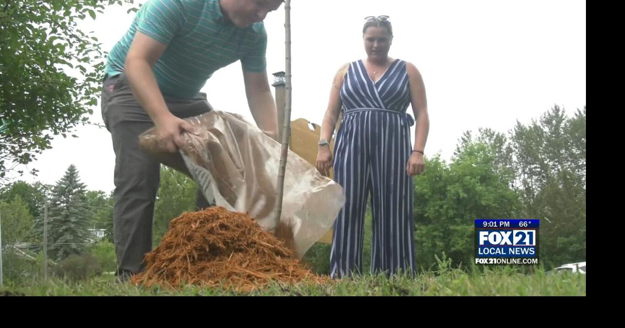 Summit School Honors Duluth Murder Victim With Memorial Tree | News ...