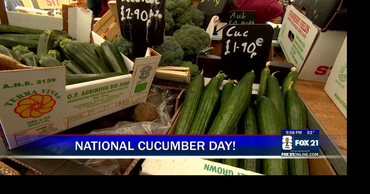 Cucumber talk | Livestream | fox21online.com
