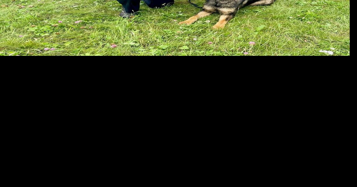 Hibbing Police Department’s newest K9 duo ready to go to work | News ...