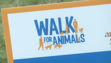 Walk for Animals event coming up this weekend at Bayfront Festival Park ...