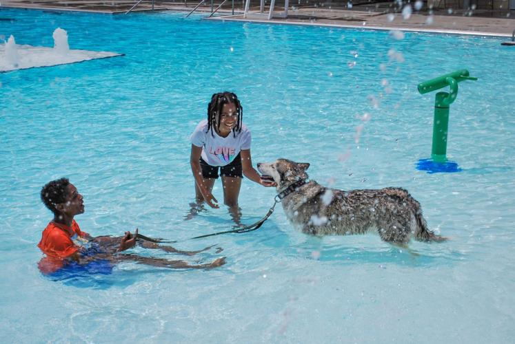 Photos: K9 Splash Party at Tulsa's McClure Park Pool | | fox23.com
