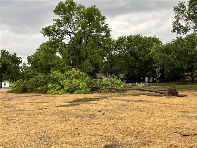 Damage reported, trees uprooted in Catoosa following storms | News ...
