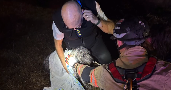 Tulsa Fire Department rescue dog that fell 30 feet into storm drain | News | fox23.com