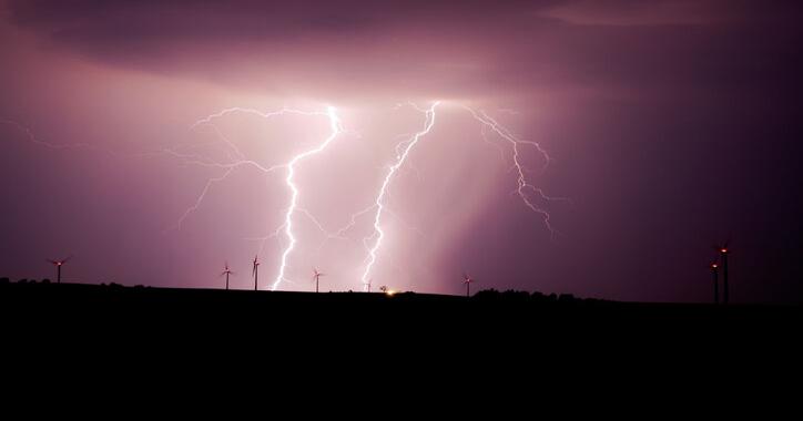 Lightning strike strips bark off tree in Mississippi | Trending | fox23.com