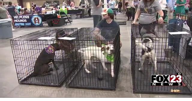 Mega pet adoption event held at Expo Square | News | fox23.com