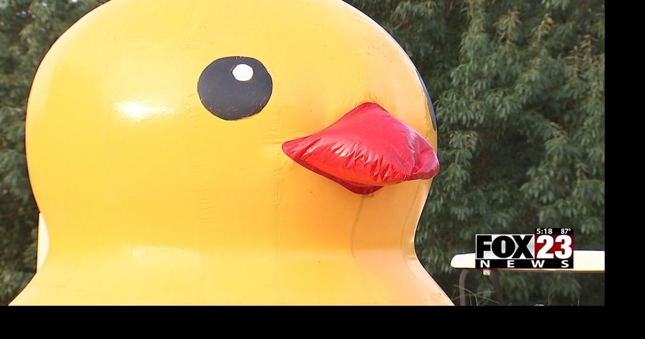 Timmy the 10-foot duck tours Tulsa | News | fox23.com