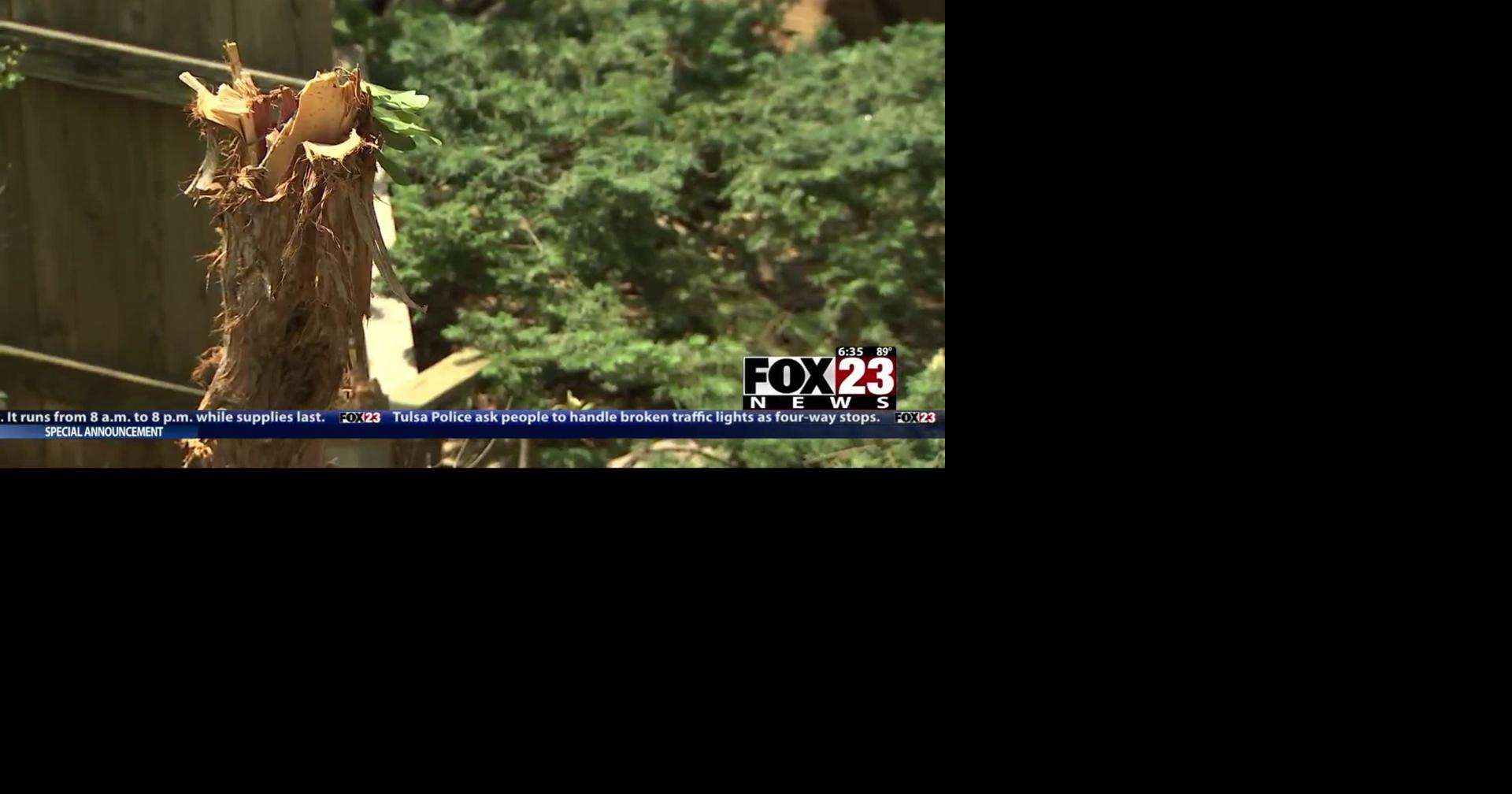 Tree lands on and damages three different properties in south Tulsa ...