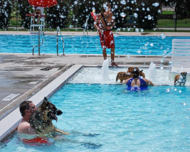 Photos: K9 Splash Party at Tulsa's McClure Park Pool | | fox23.com