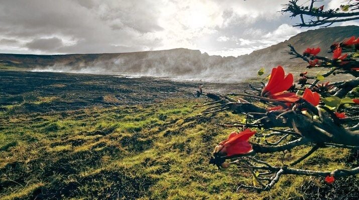 Photos: Easter Island statues damaged in fire | | fox23.com