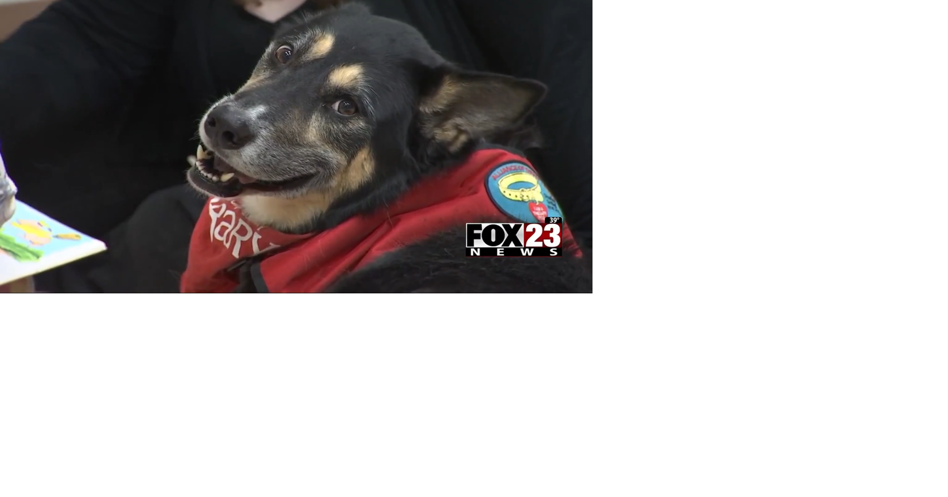 PAWS for Reading program helping children gain confidence with their ...