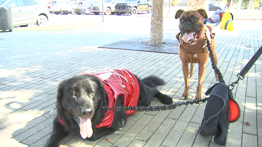 Mutt Strut Costumes | | fox23.com