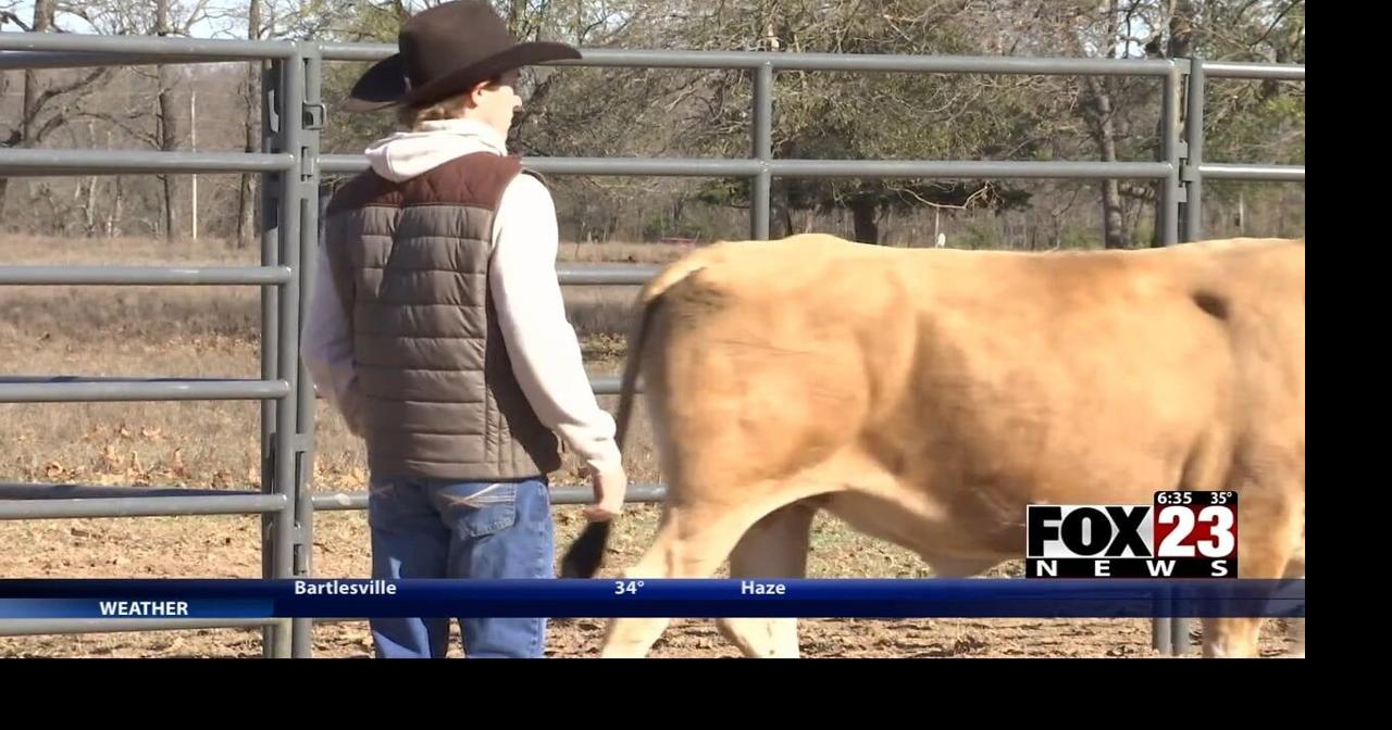 Rising bull-riding star in recovery following life-threatening bull ...
