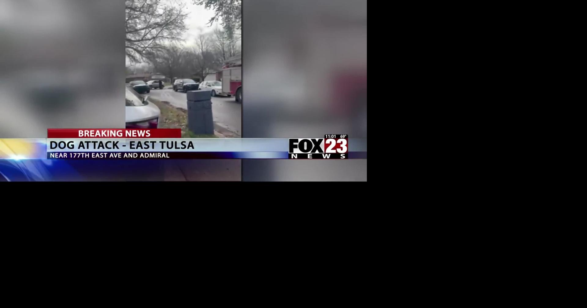 Man killed after east Tulsa dog attack, EMSA reports 8 dogs at scene ...