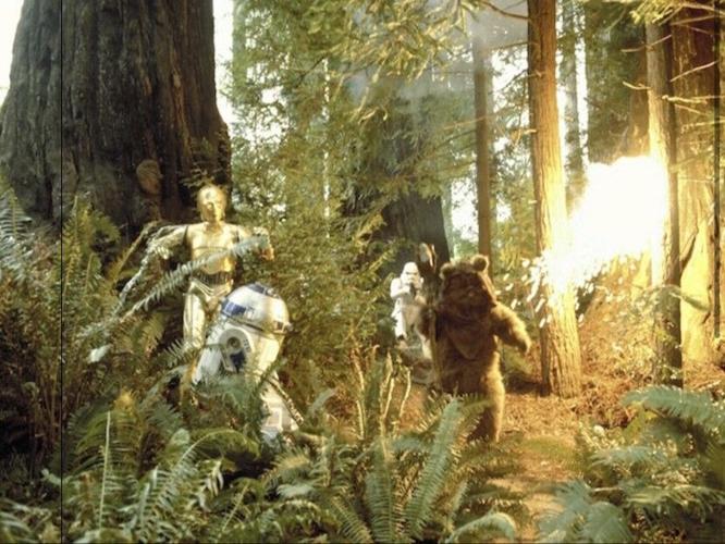 Okla. Ewok actor shares film set stories 40 years after Return of the ...