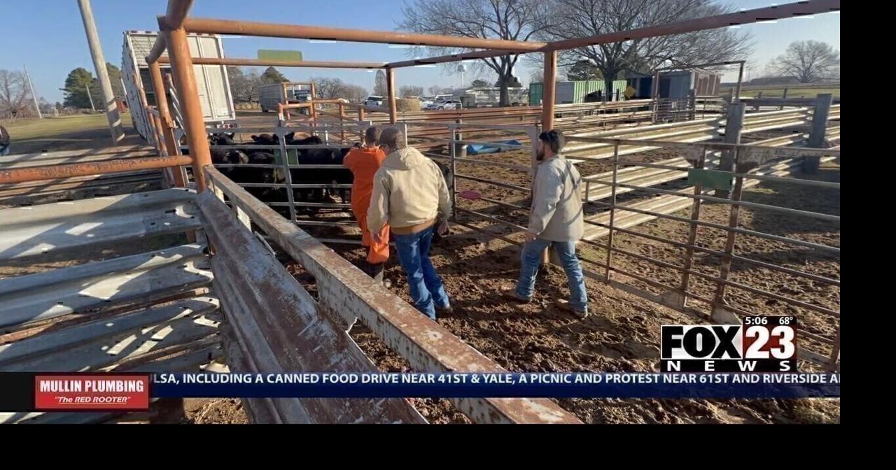 ODOC uses cattle farm to prepare inmates for life after prison | News ...