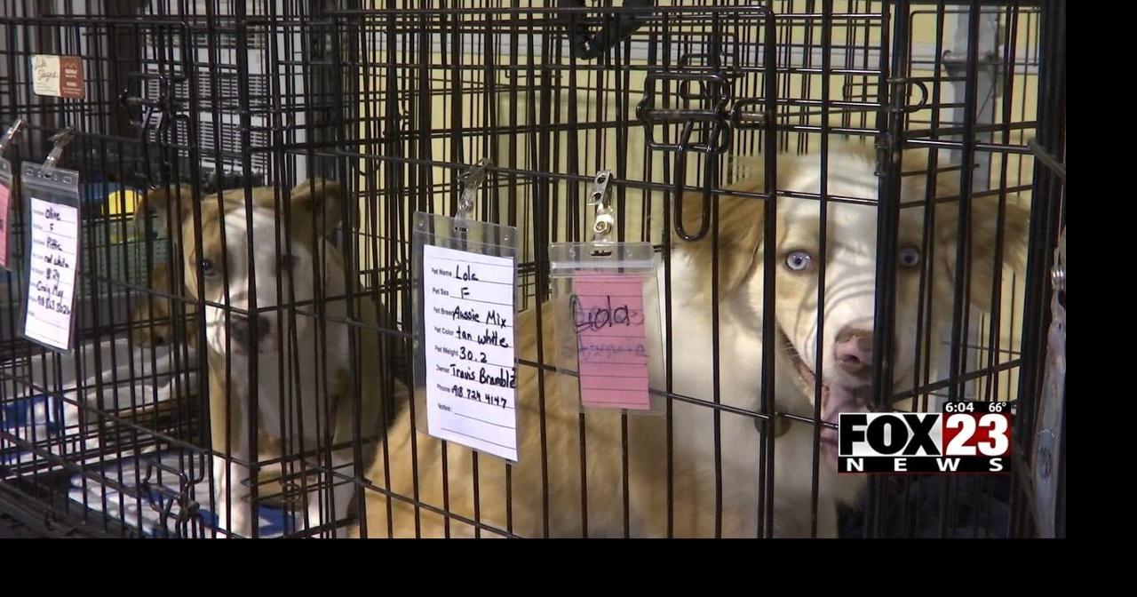 Skiatook animal rescue overwhelmed with stray animals | News | fox23.com